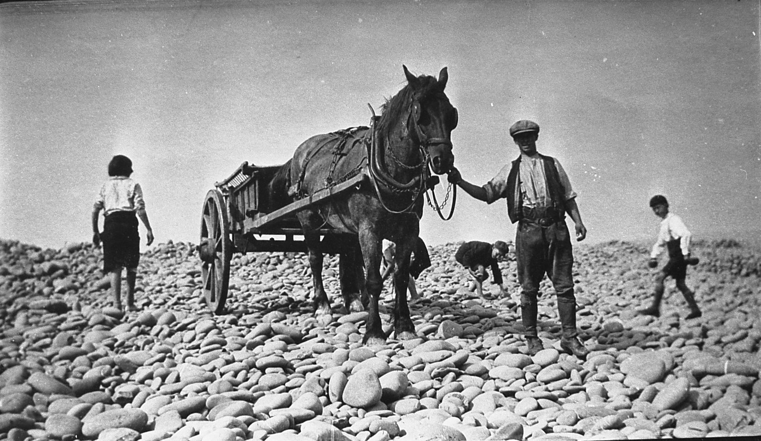 Potwallopers – Westward Ho! History